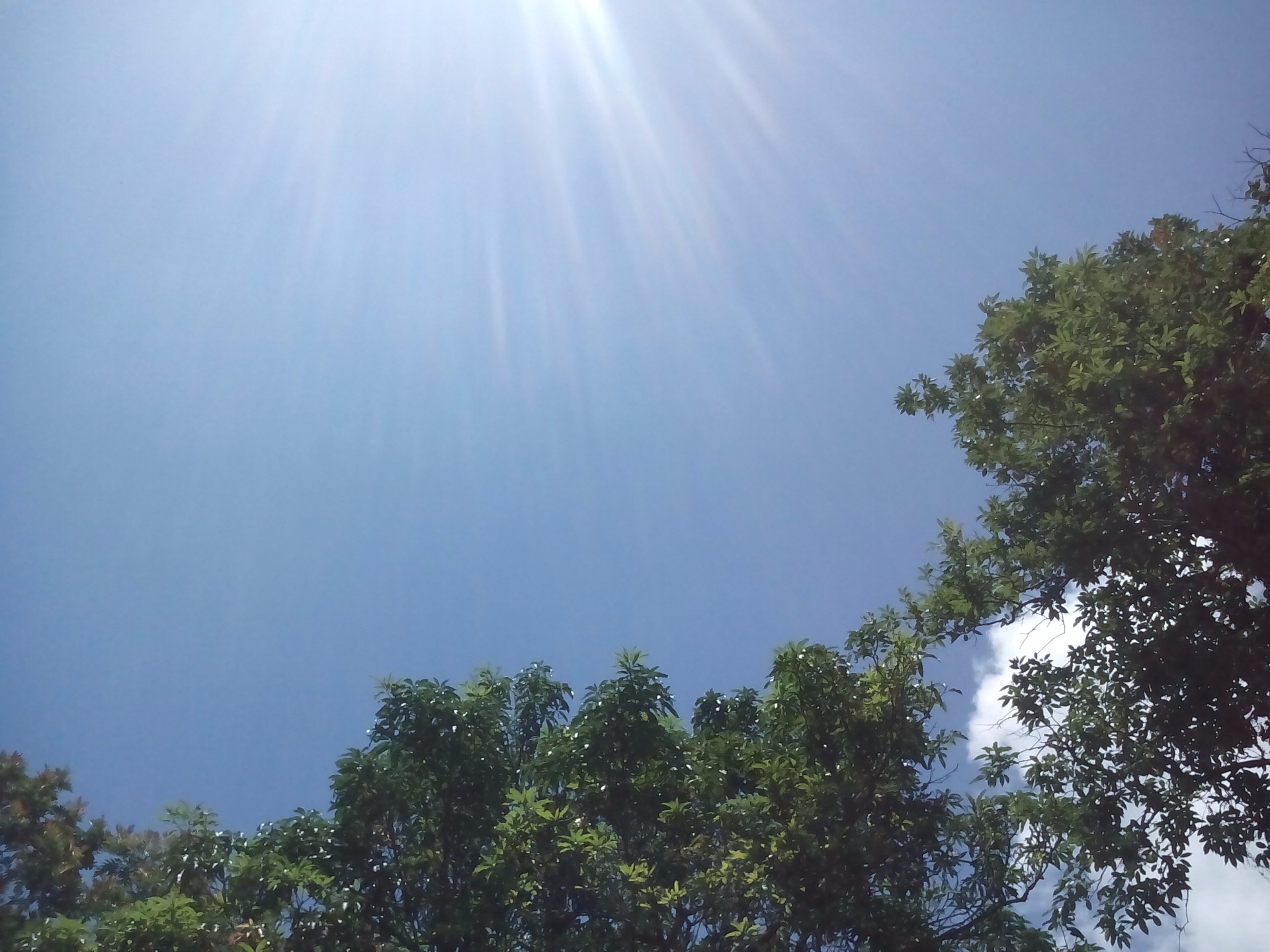 GALERIA :: San-jose-tenango-oaxaca